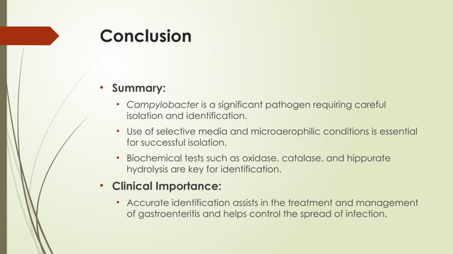 Isolation and identification of Campylobacter bacteria.pptx