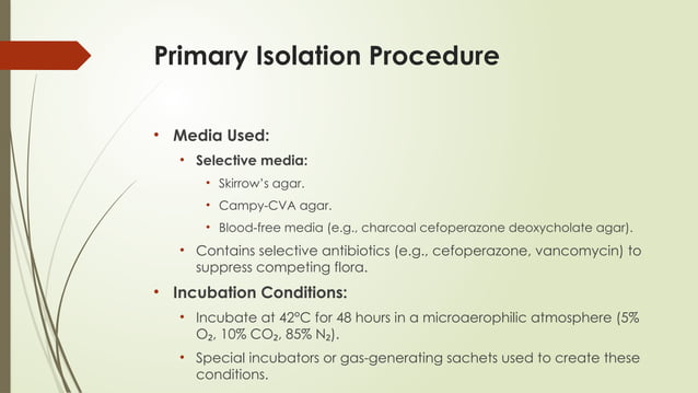 Isolation and identification of Campylobacter bacteria.pptx