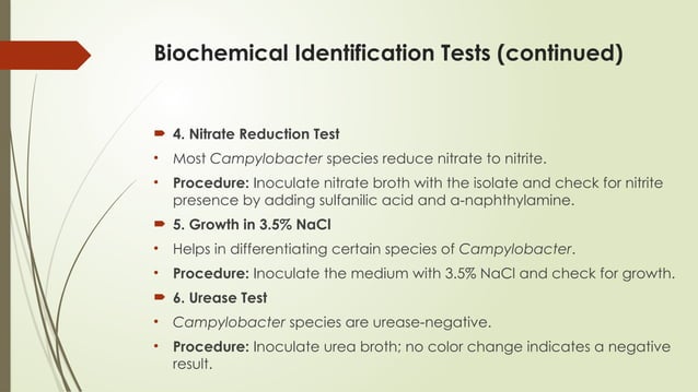 Isolation and identification of Campylobacter bacteria.pptx