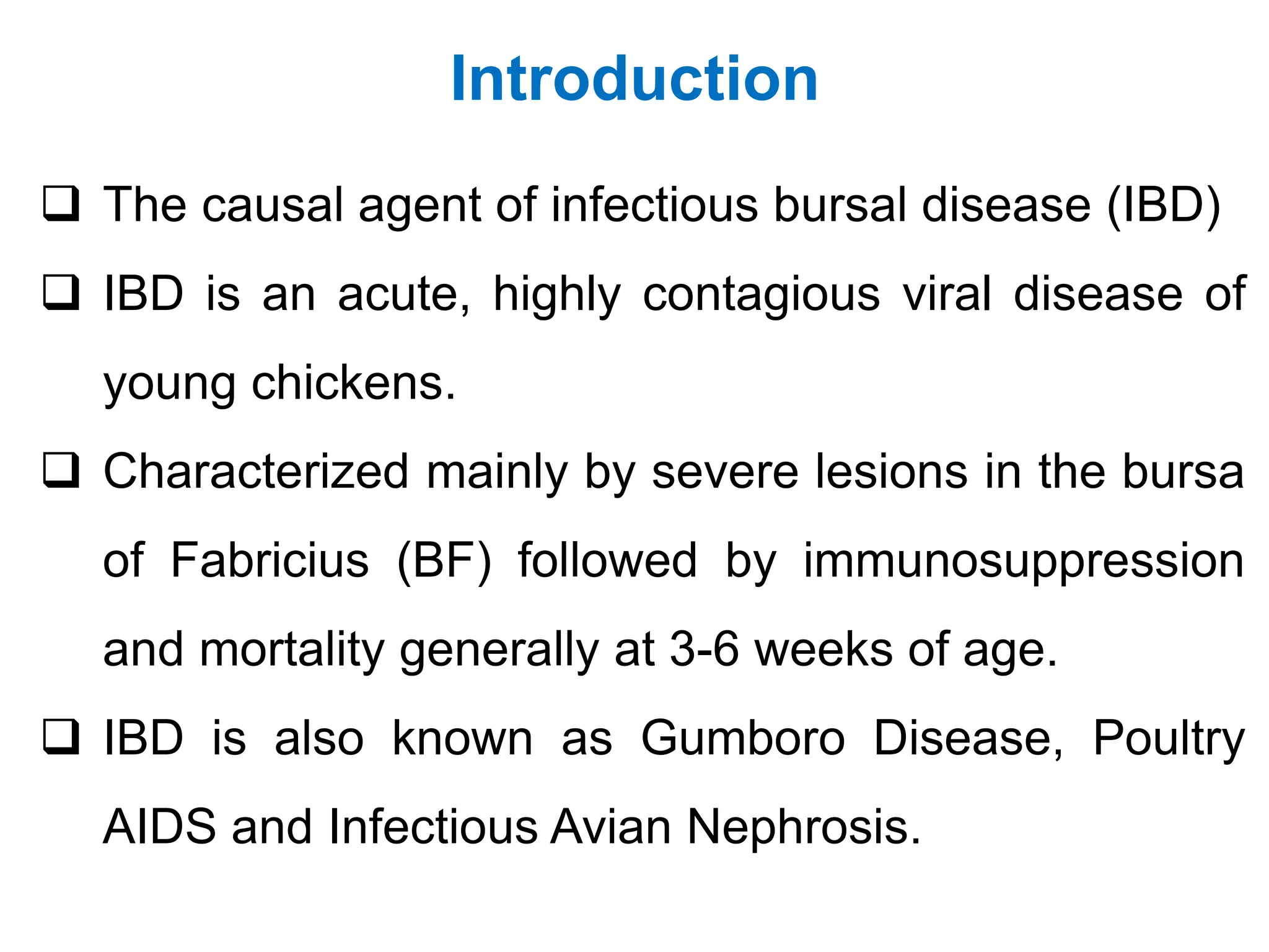 Isolation and identification of infectious bursal disease virus | PPTX