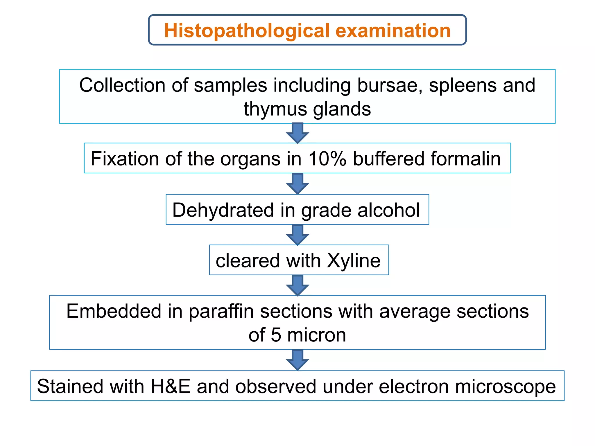 Isolation and identification of infectious bursal disease virus | PPTX
