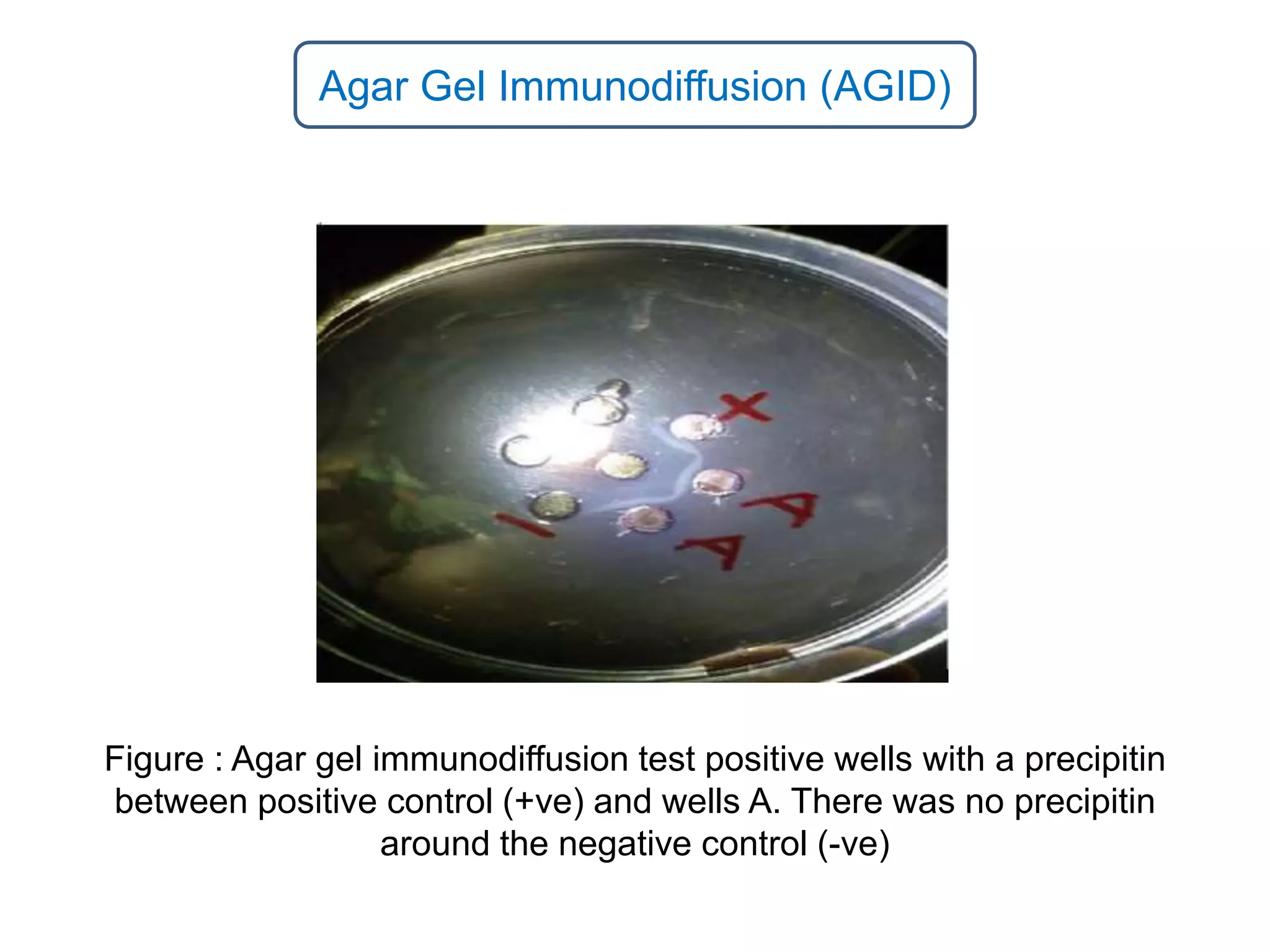 Isolation and identification of infectious bursal disease virus | PPTX
