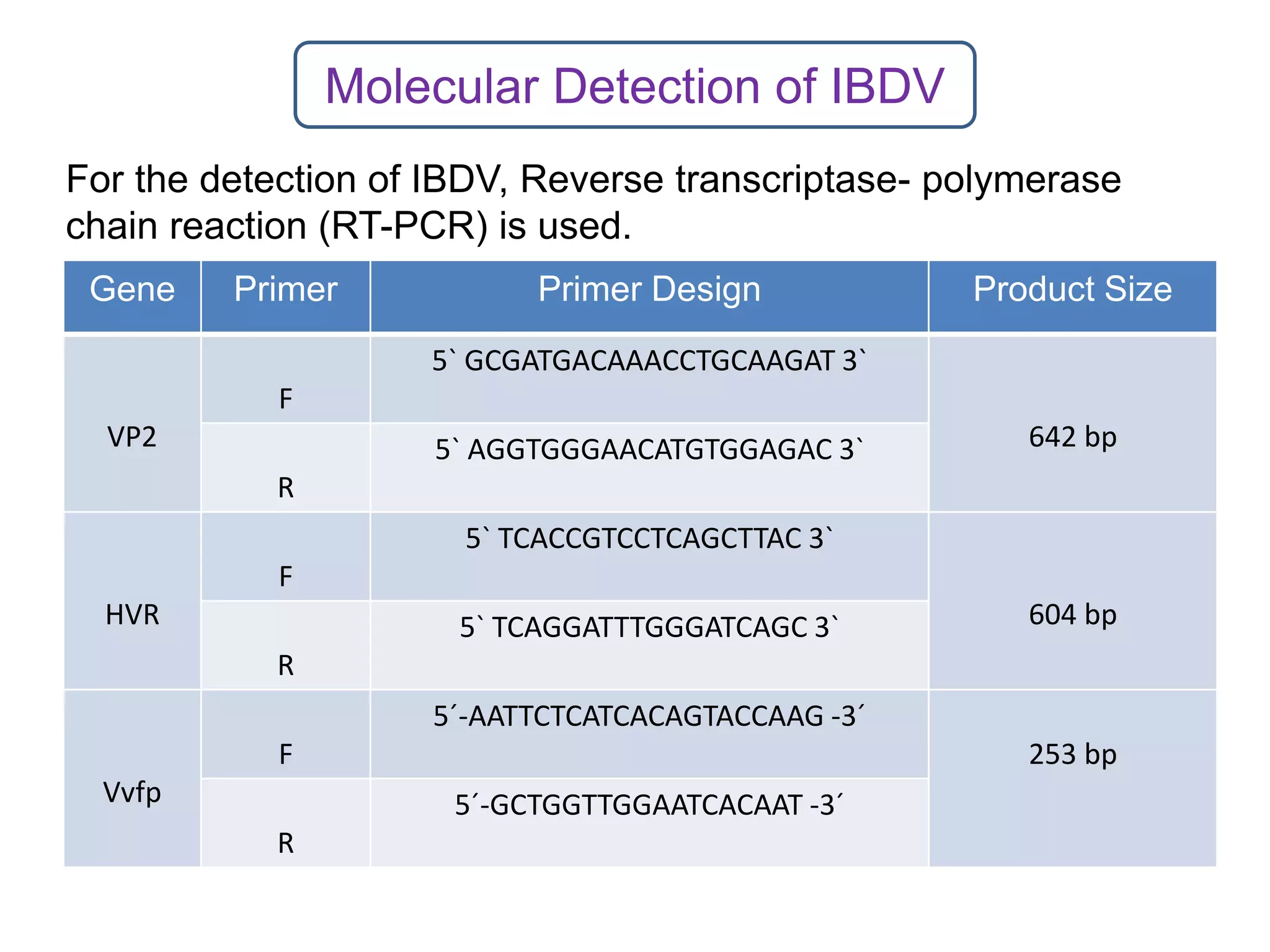 Isolation and identification of infectious bursal disease virus | PPTX