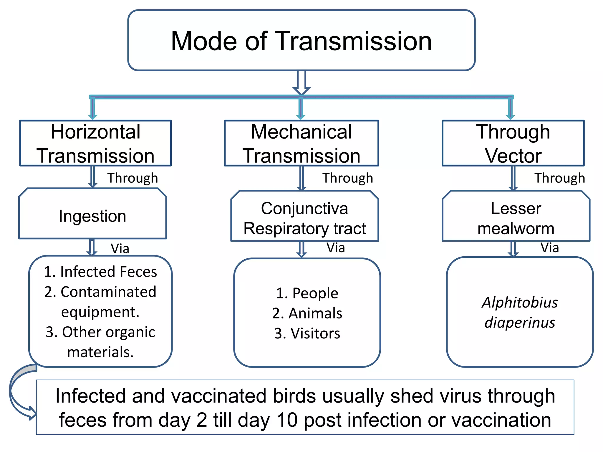 Isolation and identification of infectious bursal disease virus | PPTX