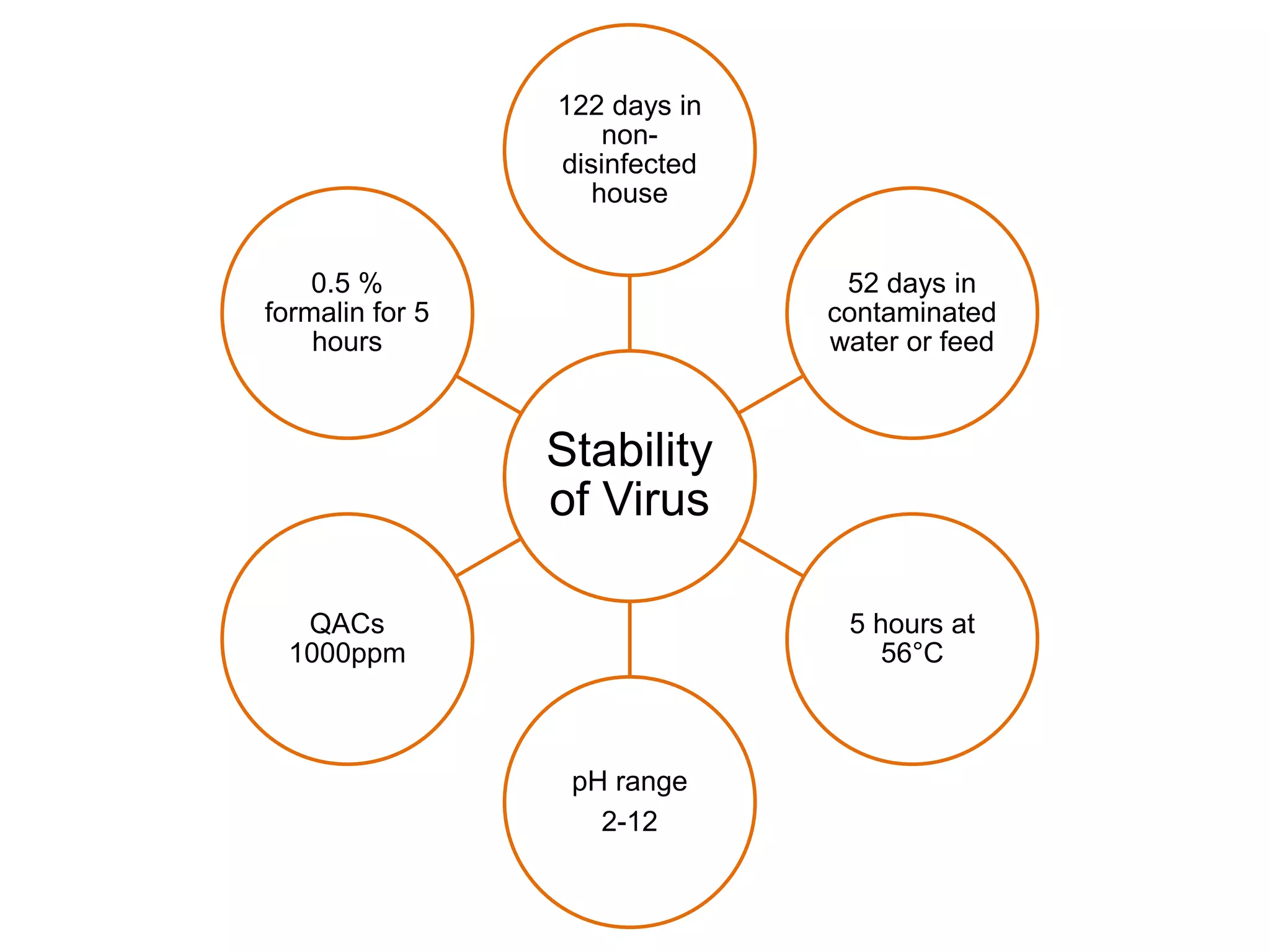 Isolation and identification of infectious bursal disease virus | PPTX