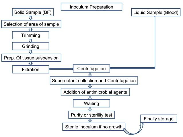 Isolation and identification of infectious bursal disease virus | PPTX | Infectious Diseases ...