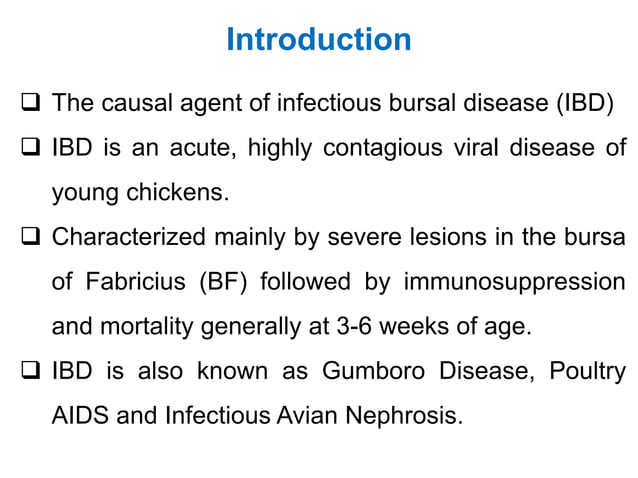 Isolation and identification of infectious bursal disease virus | PPTX | Infectious Diseases ...