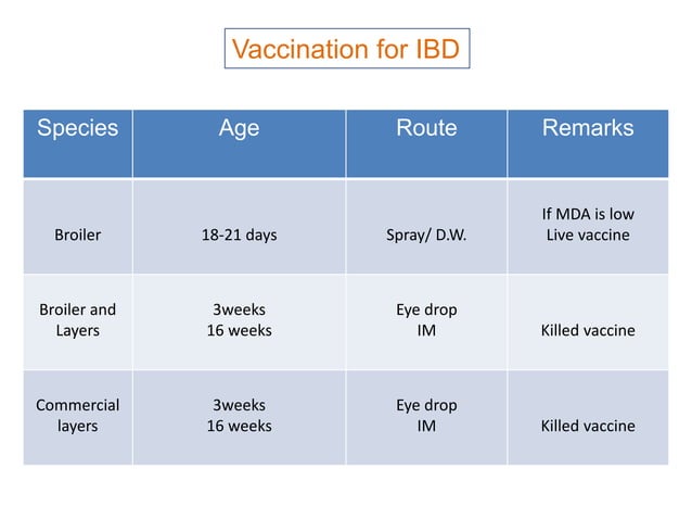Isolation and identification of infectious bursal disease virus | PPTX | Infectious Diseases ...