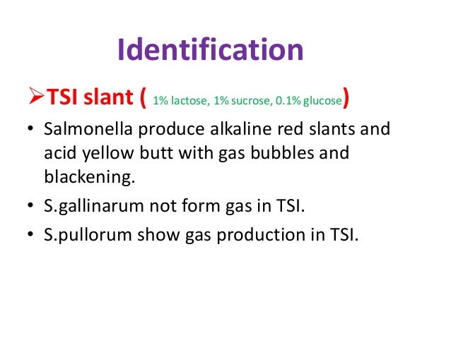 Tsi Slant Salmonella TSIA For S. Marcescens. : R/microbiology