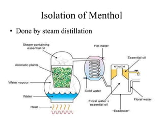 Isolation and identification of the phytoconstituents | PPTX