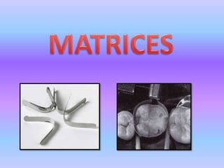 Isolation and Matrices.pptx