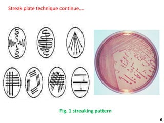 Isolation and preservation.pptx