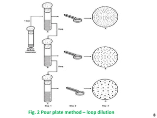 Isolation and preservation.pptx