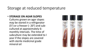 Isolation and preservation of industrial cultures_ lecture 6.pptx