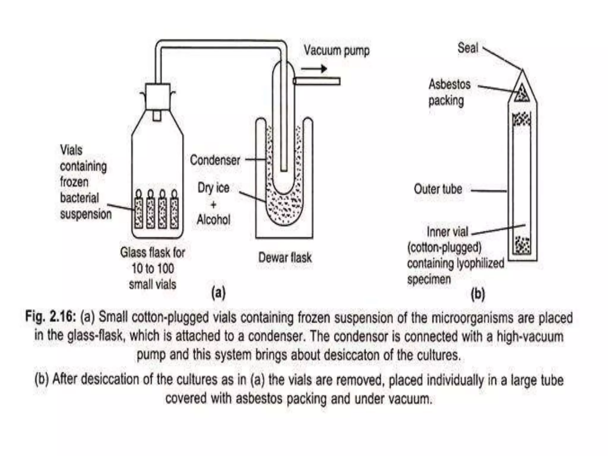Isolation and preservation of microorganism bacteria | PPTX