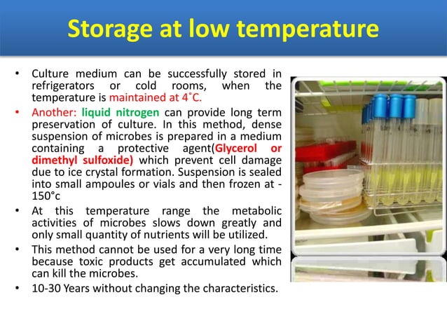 Isolation and preservation of microorganism bacteria | PPTX | Chemistry ...