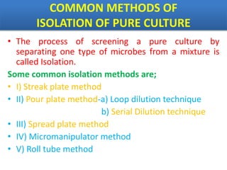 Isolation and preservation of microorganism bacteria | PPTX