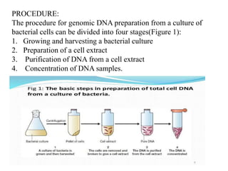 Isolation and purification of microbial c | PPTX