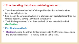 Isolation and purification of plant viruses.pptx