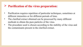 Isolation and purification of plant viruses.pptx