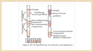 Isolation and purification of plant viruses.pptx