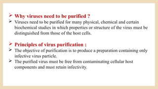 Isolation and purification of plant viruses.pptx