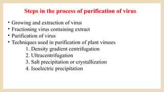 Isolation and purification of plant viruses.pptx