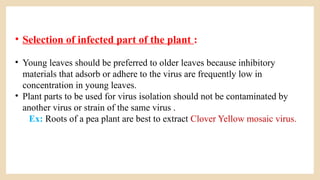 Isolation and purification of plant viruses.pptx