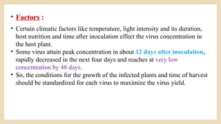 Isolation and purification of plant viruses.pptx