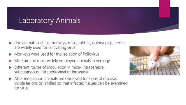 Isolation and purification of viruses | PPTX | Chemistry | Science