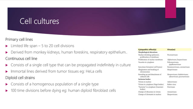 Isolation and purification of viruses | PPTX | Chemistry | Science