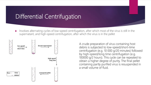 Isolation and purification of viruses | PPTX | Chemistry | Science