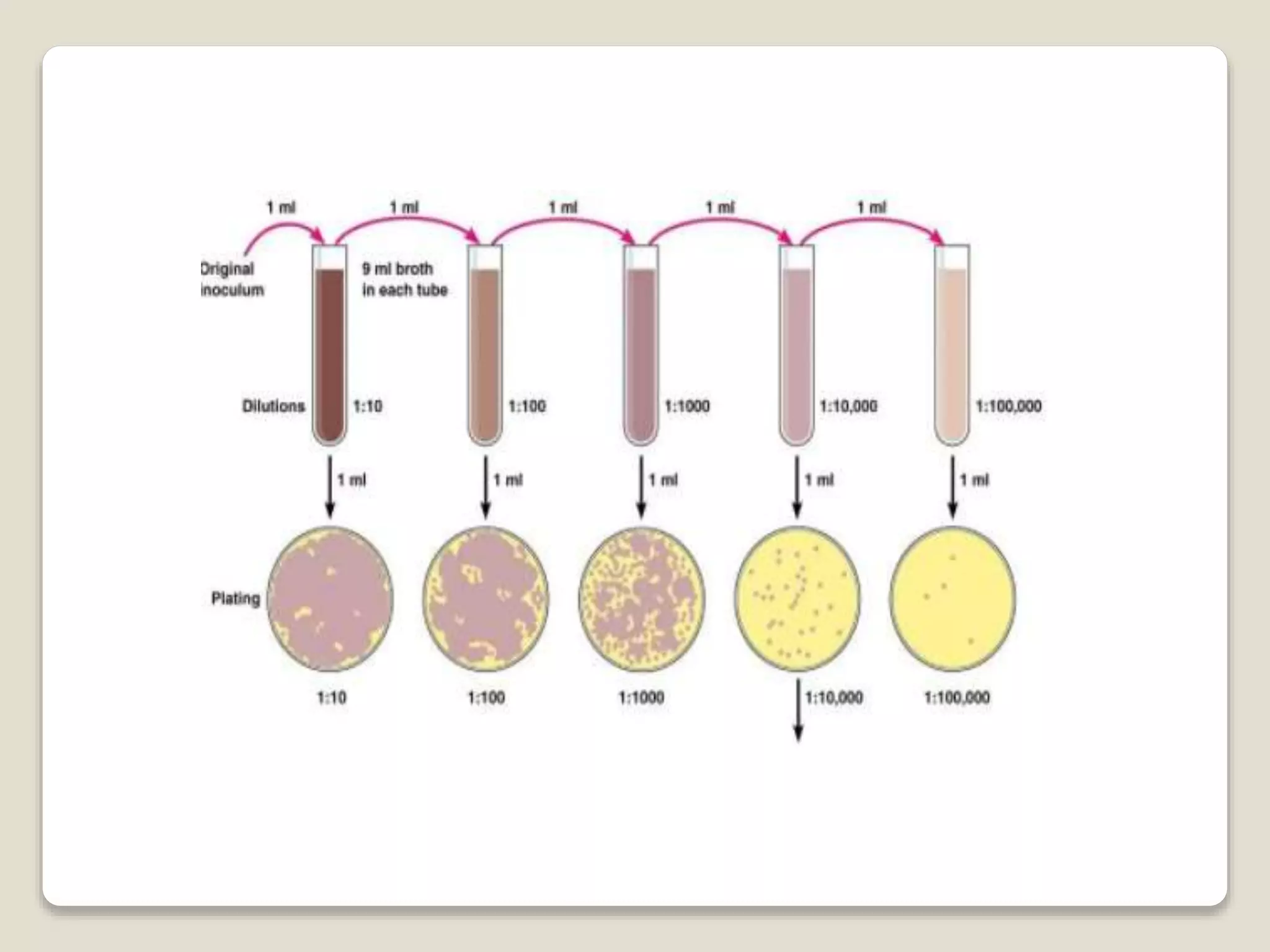 isolation and screening of microbes from different environment.pptx