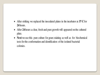 isolation and screening of microbes from different environment.pptx