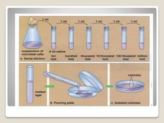 isolation and screening of microbes from different environment.pptx