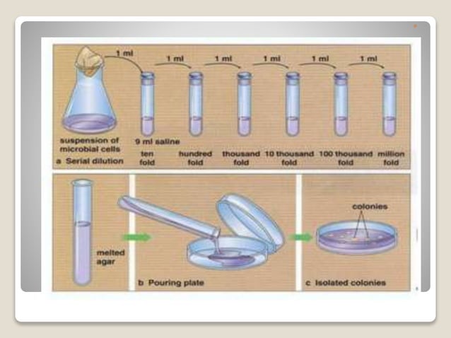 isolation and screening of microbes from different environment.pptx