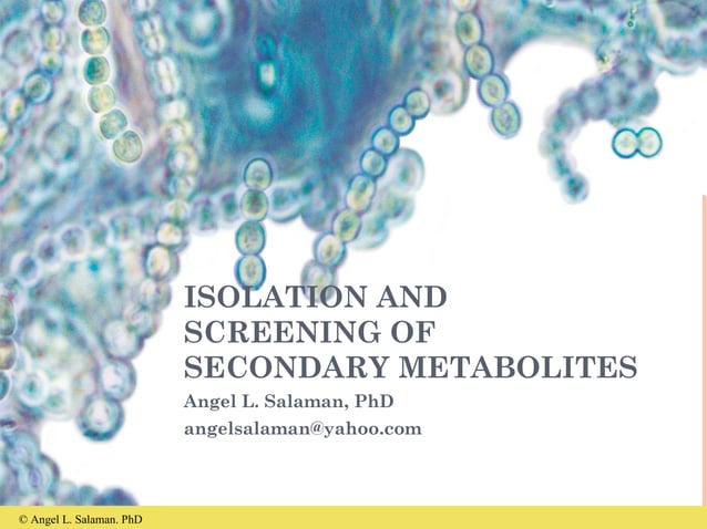 Isolation and Screening of Secondary Metabolites | PPT | Chemistry ...