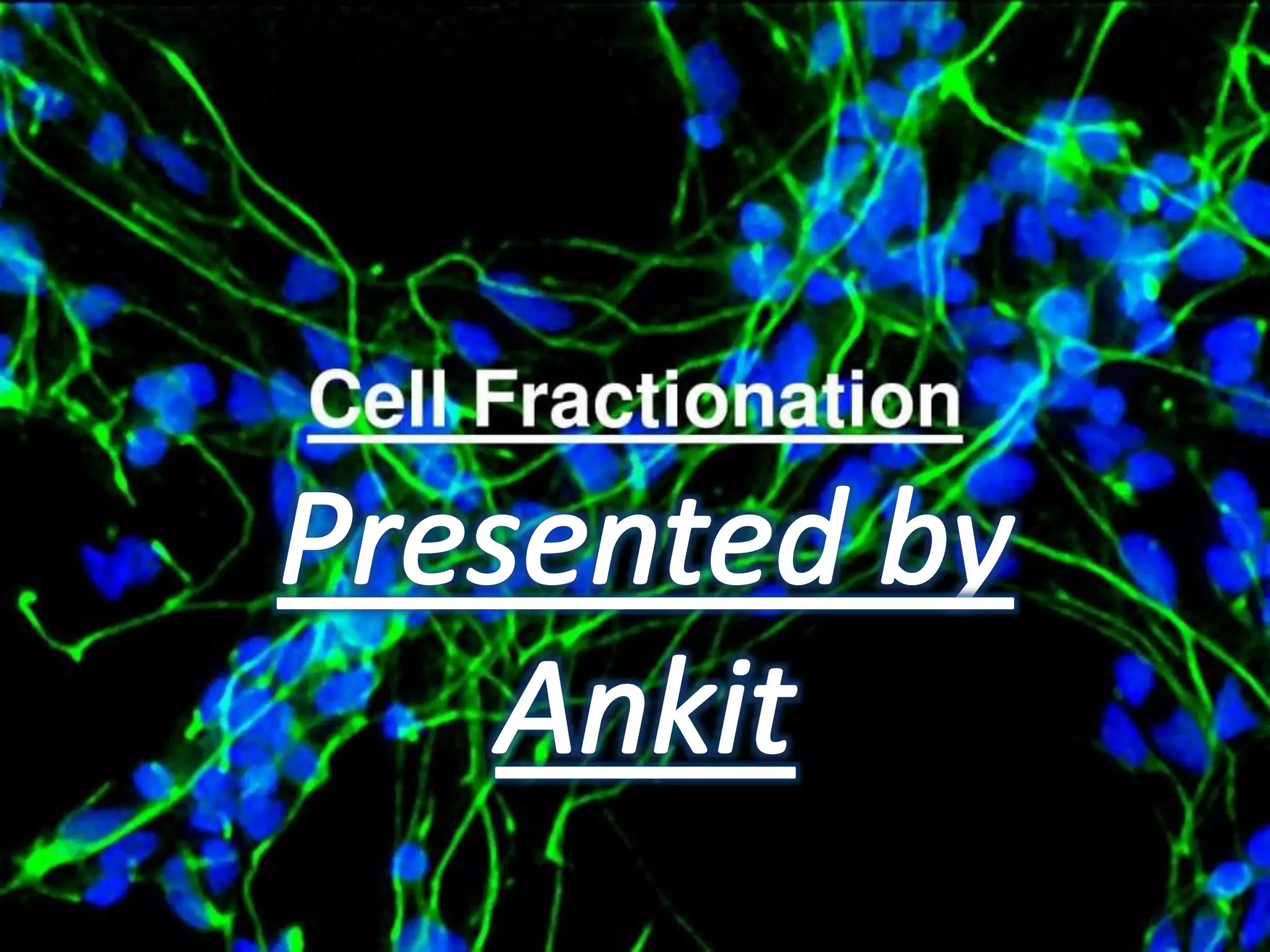 Isolation cell organelle by ankit | PPTX