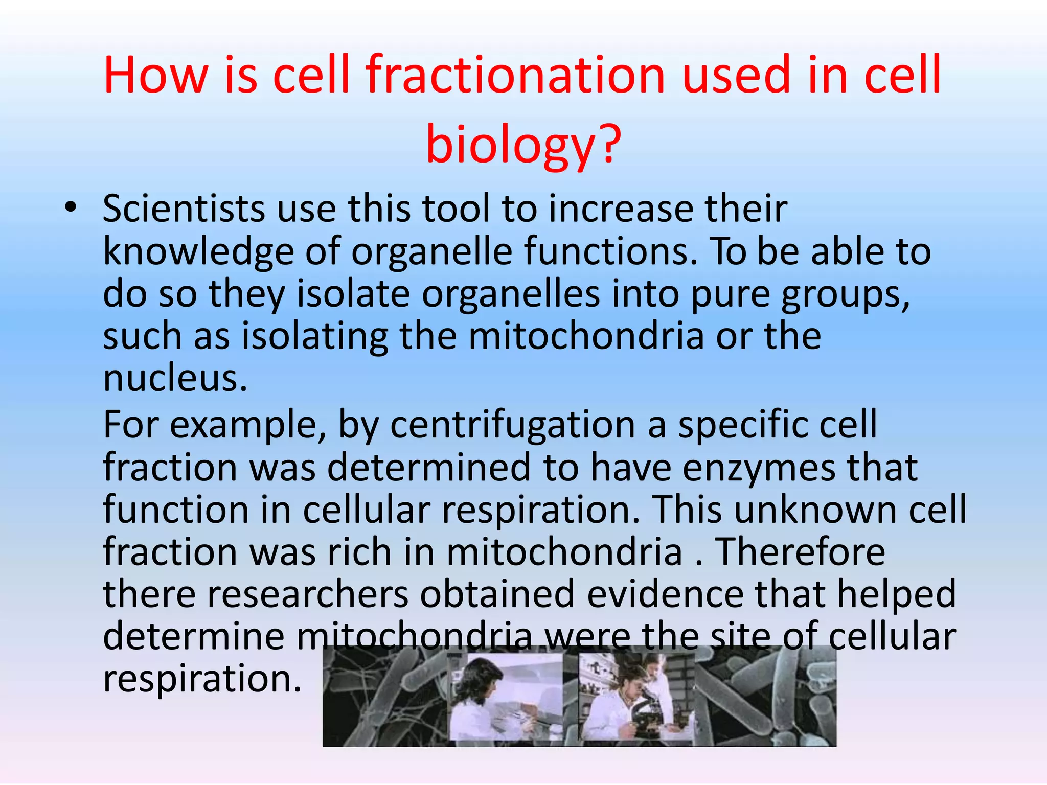 Isolation cell organelle by ankit | PPTX