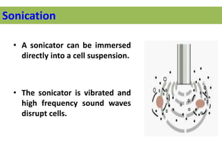 Isolation cell organelle by ankit | PPTX