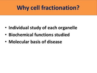 Isolation cell organelle by ankit | PPTX