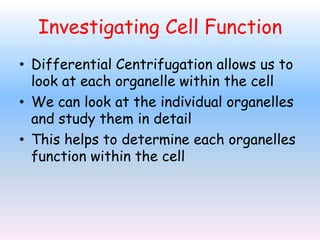 Isolation cell organelle by ankit | PPTX