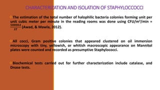 Isolation, Characterization, and Antibiotics Resistance Profile of ...