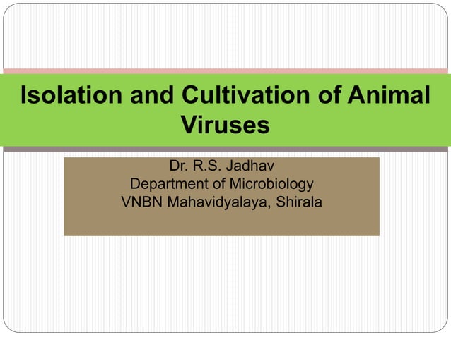 Isolation cultivation purification animal viruses | PPTX