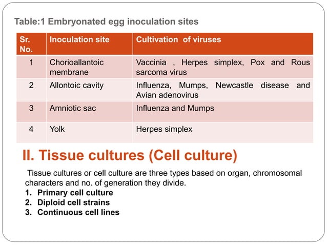 Isolation cultivation purification animal viruses | PPTX