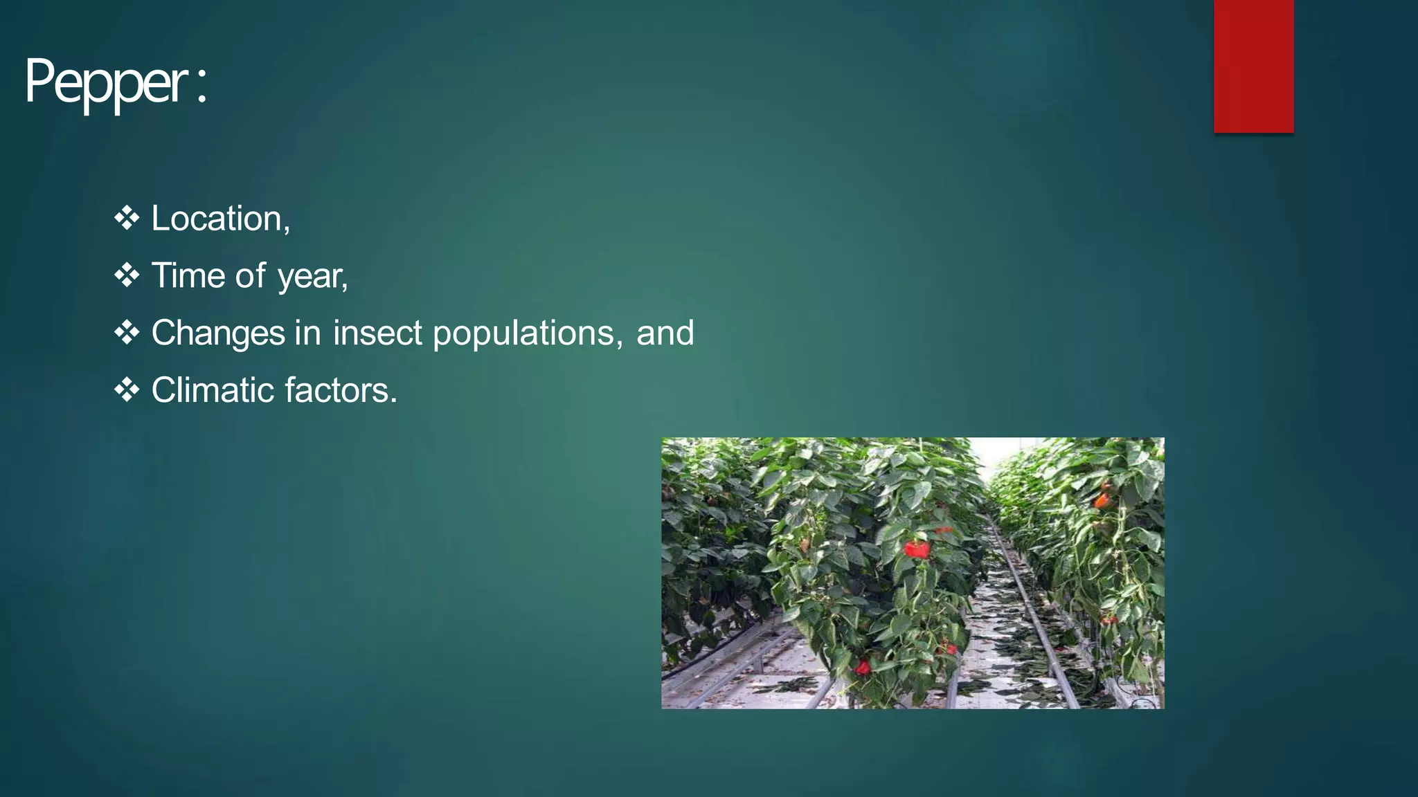 Isolation Distance and it's Importance in seed Production | PPTX