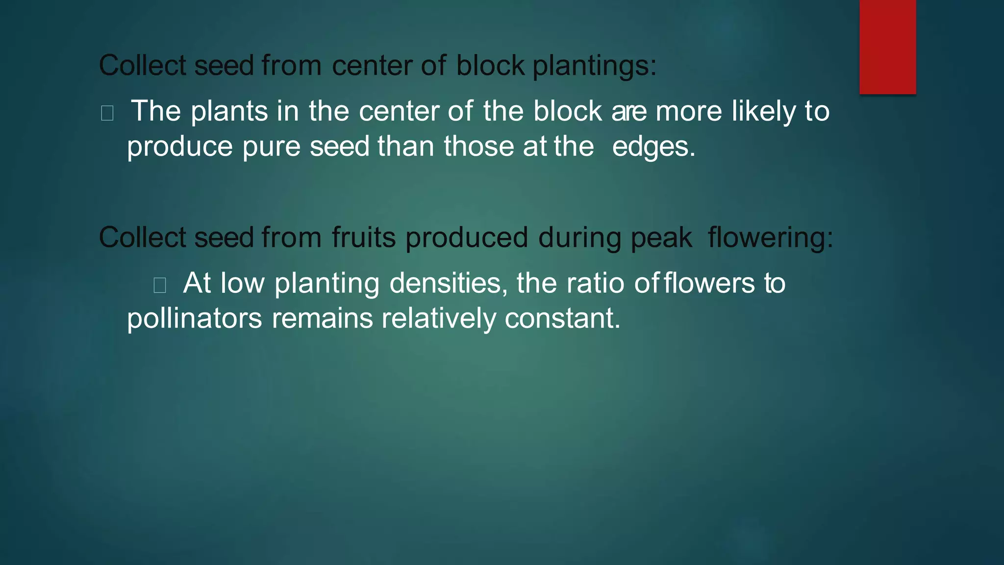 Isolation Distance and it's Importance in seed Production | PPTX