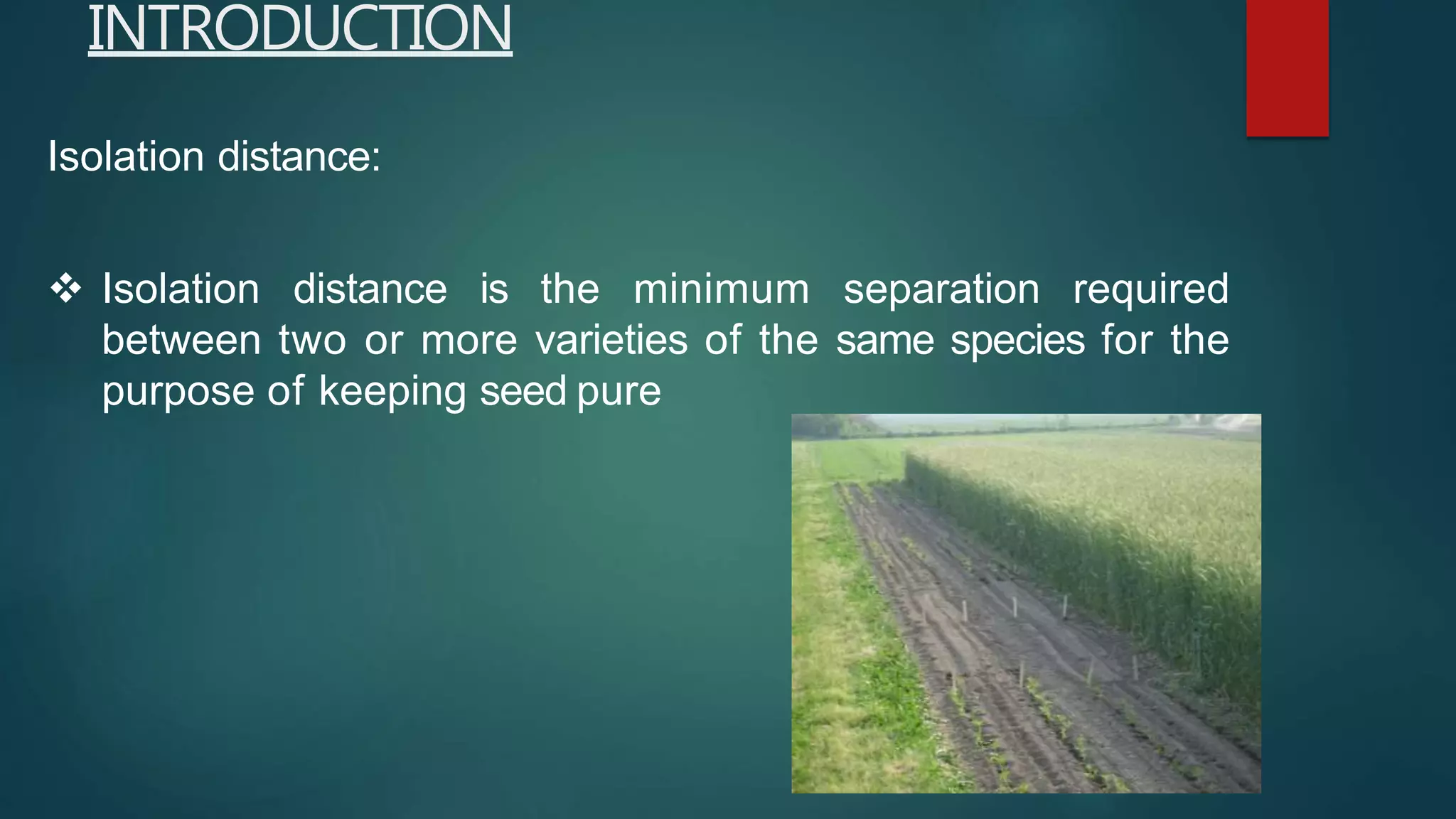 Isolation Distance and it's Importance in seed Production | PPTX