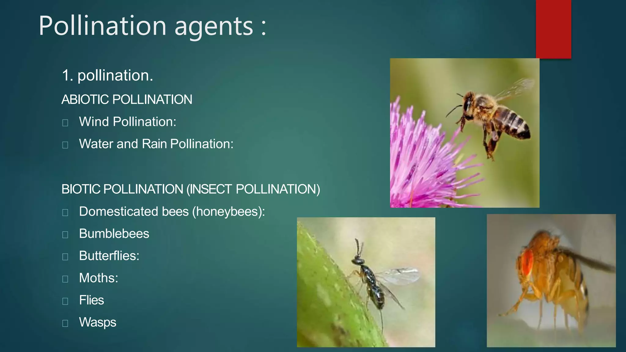 Isolation Distance and it's Importance in seed Production | PPTX