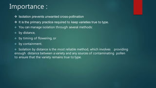 Isolation Distance and it's Importance in seed Production | PPTX